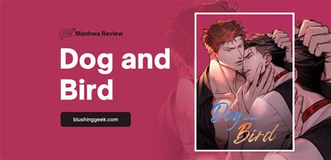 Dog And Bird Manhwa - Cloud Dev Hub