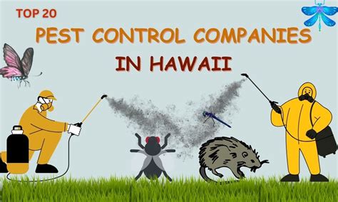 7 Effective Pest Control Tips for Hawaii Homes - Cloud Dev Hub