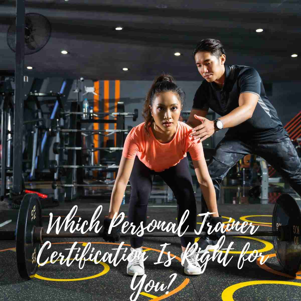 Top 5 Quality Personal Trainer Certifications to Consider - Cloud Dev Hub